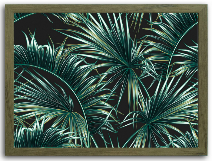 NEW LARGE 60CM x 80CM FRAMED CANVAS PRINT - FAN PALMS - ASAH HOME